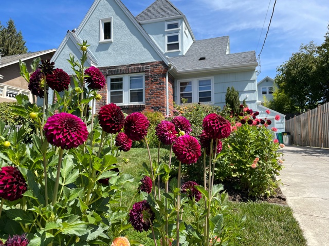 Drake! WE ARE LEAVING!!! | NO CLOCK